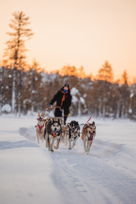 Pajala Huskies Programs